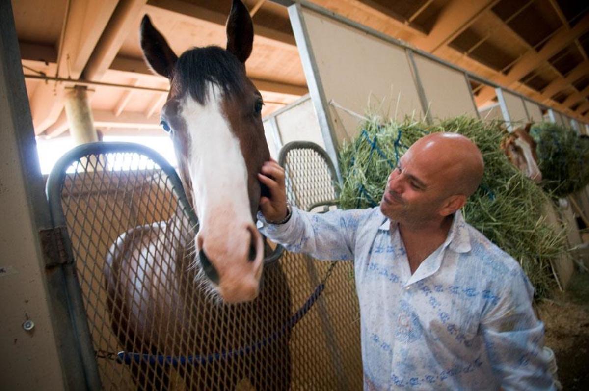 Miller Keeping 'An Even Keel' Despite Hot Run At Del Mar - Paulick ...