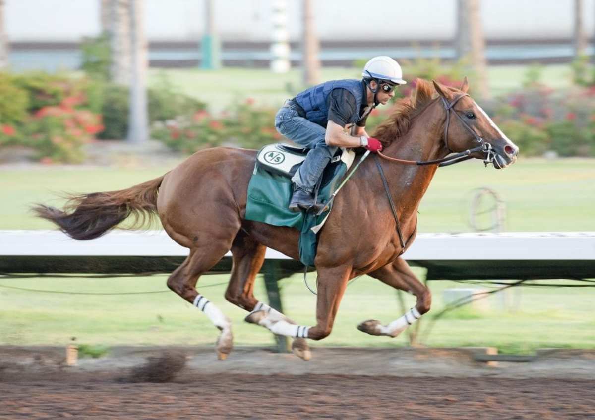 California Chrome Draws Post Position One for Pennsylvania Derby ...
