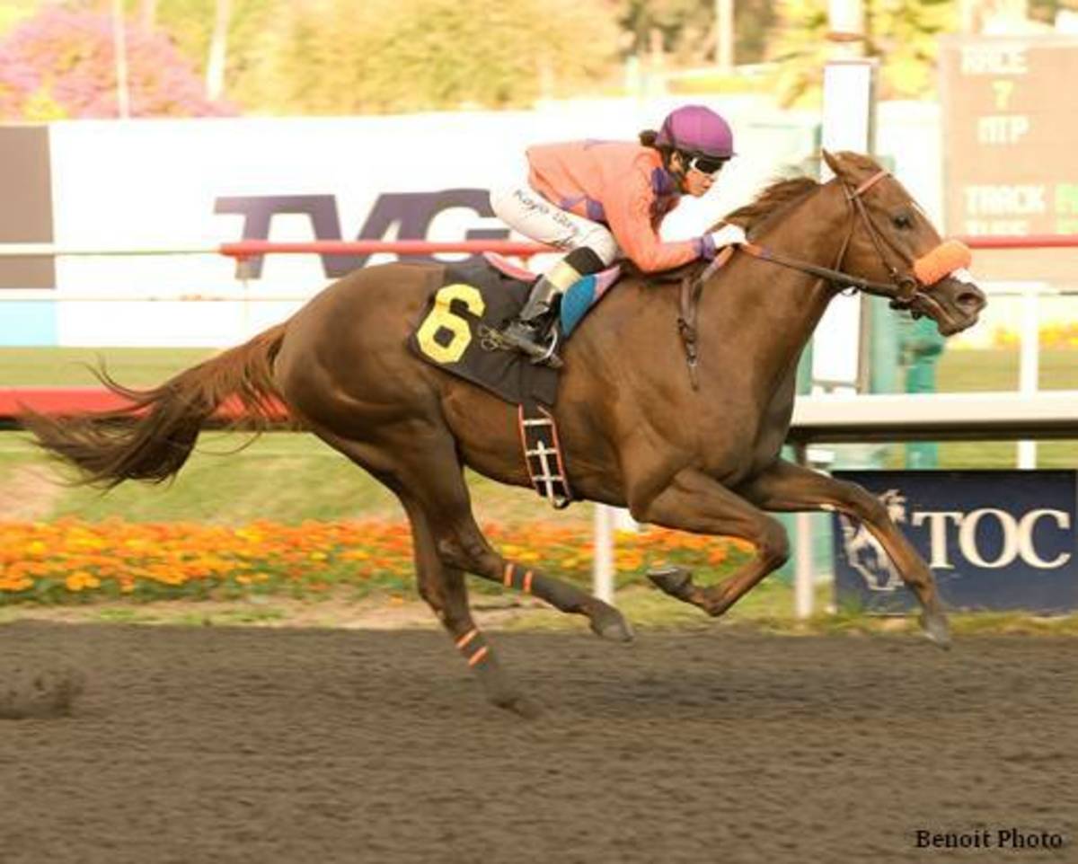 Santa Anita: Road to the KY Derby Gets Underway with Sham Stakes ...