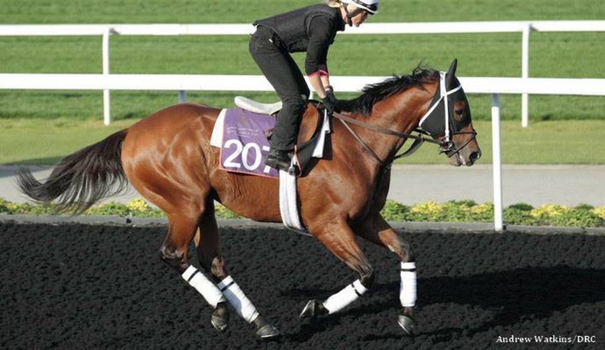 Trainer Benzel Has Long Game in Mind for Dubai Success - Paulick Report ...
