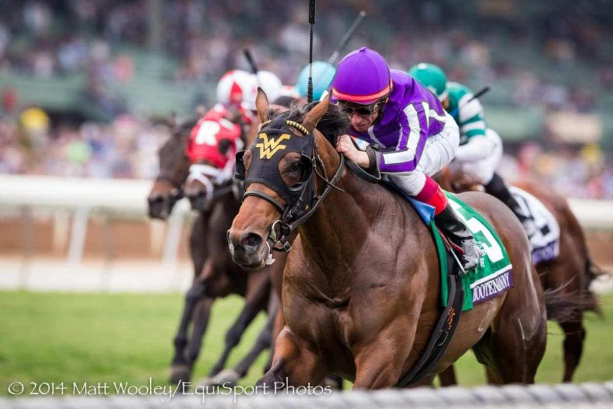 Quality Road Edges Super Saver in Tight Freshman Sire Race - Paulick ...