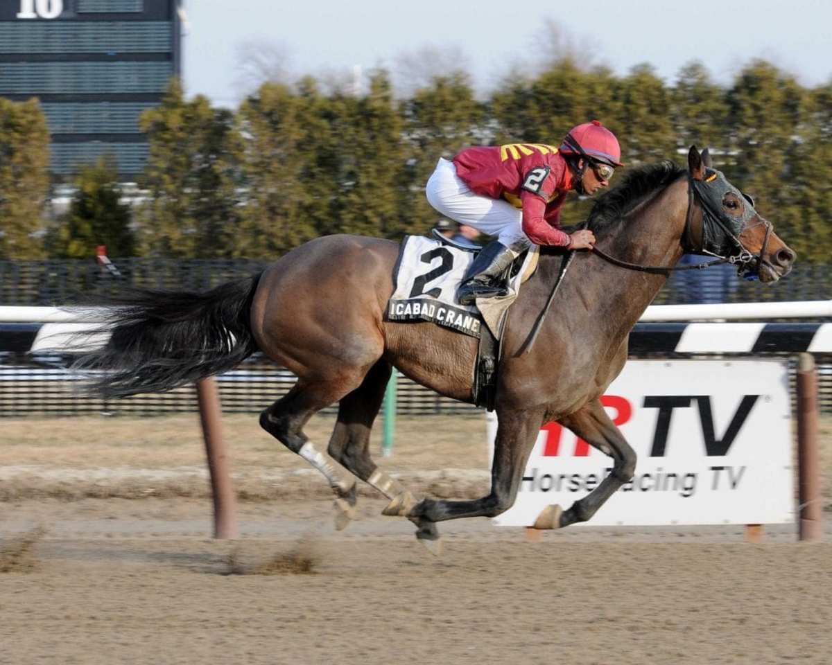Icabad Crane Returning to Pimlico in OTTB Event - Paulick Report ...