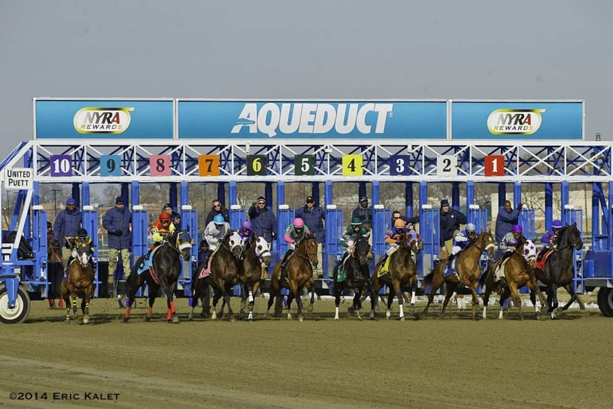 High Winds Force Cancellation Of Races Sunday At Aqueduct - Paulick ...