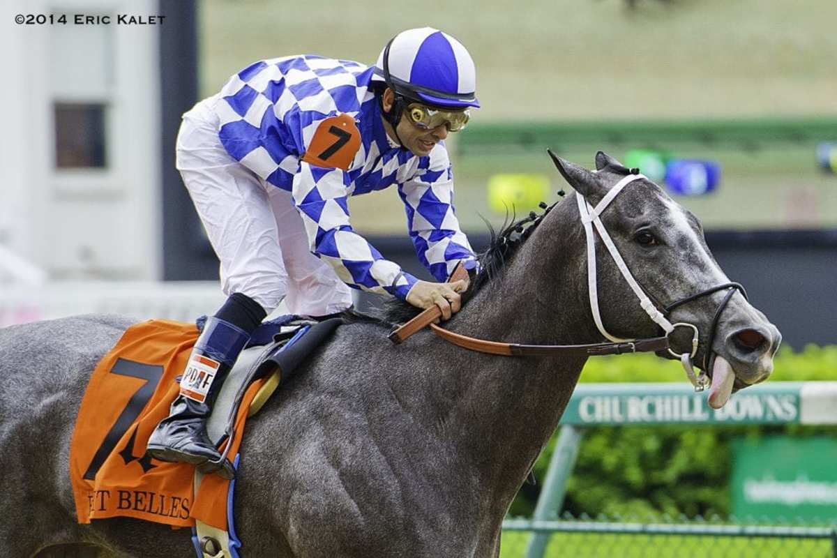 Fiftyshadesofgold Proves Best Late in Eight Belles - Paulick Report ...