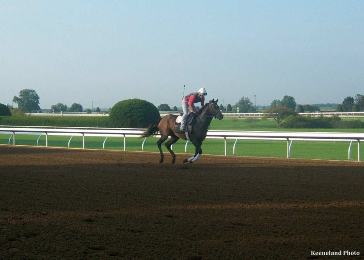 Keeneland Debuts New Dirt Surface on Main Track - Paulick Report ...