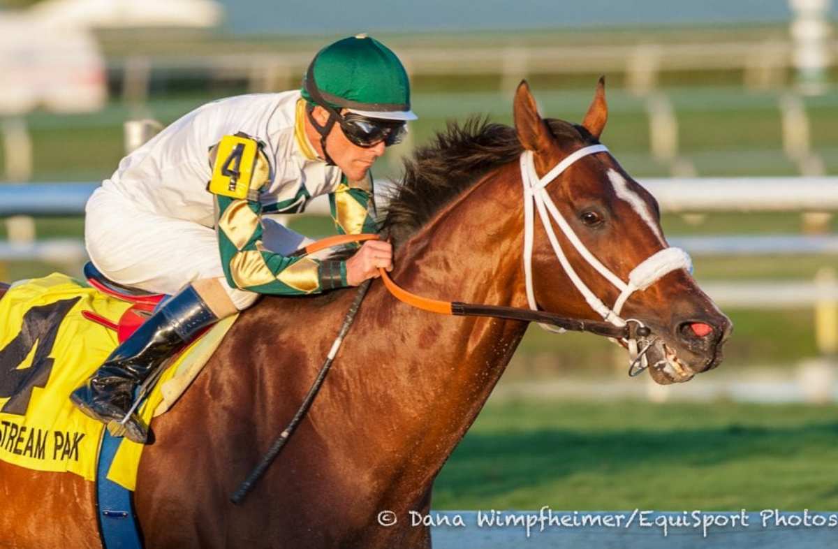 Mucho Macho Man Assigned 124-Pound High Weight in Big 'Cap - Paulick ...
