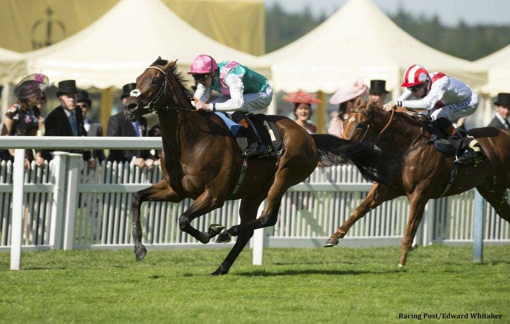 Juddmonte Releases 2015 Fees for Stallions in North America, England ...