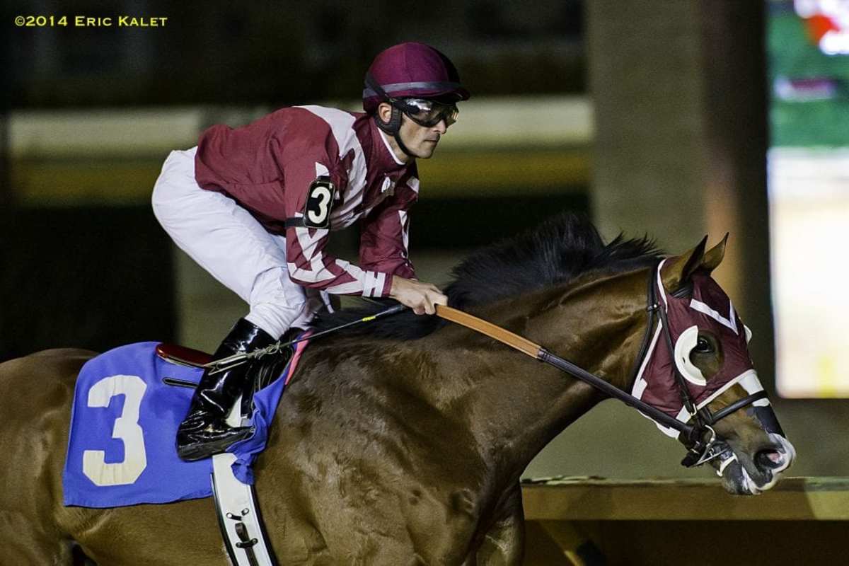 Rise Up Heads Full Field in Indiana Grand's Centaur Stakes - Paulick ...