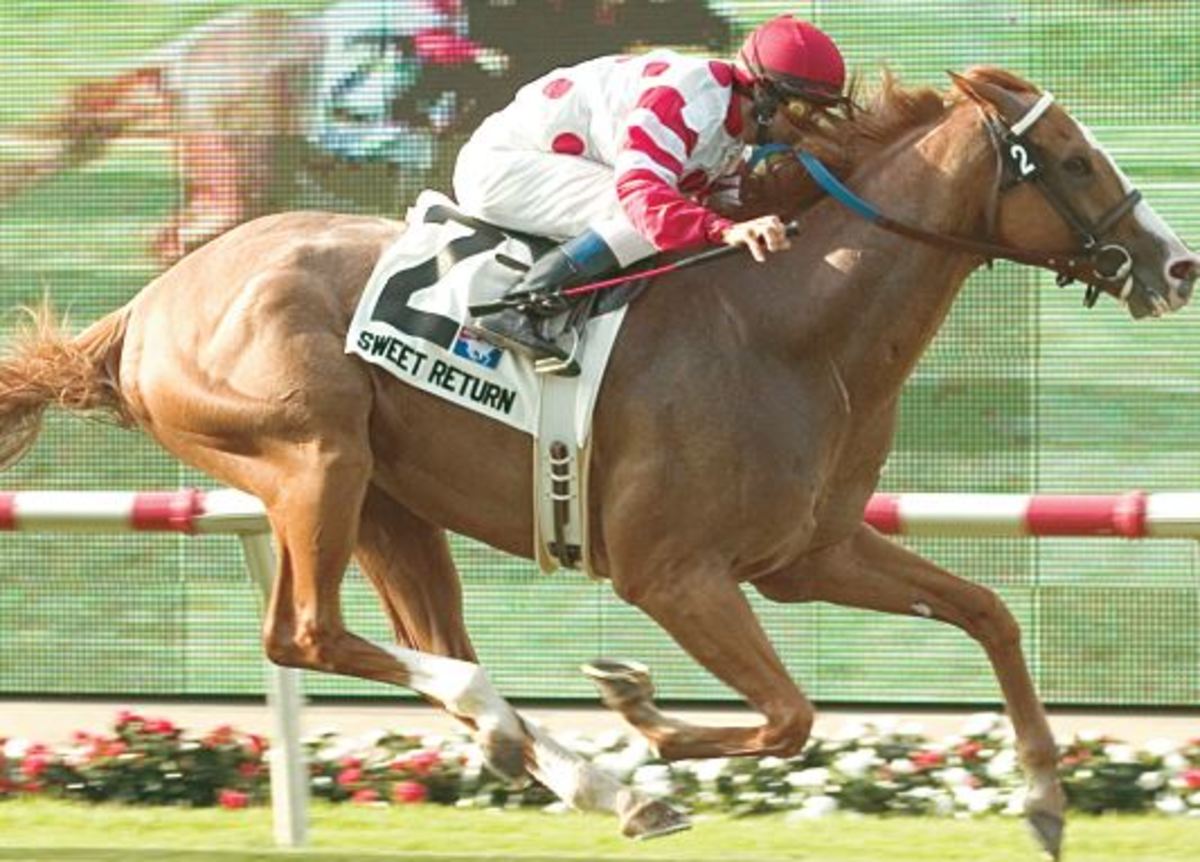 Sweet Return To Indiana For 2016 Breeding Season - Paulick Report ...