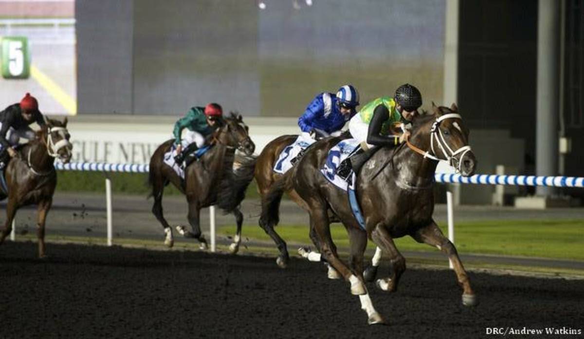 Dubai Racing Club Announces Likely Fields for Dubai World Cup Day ...