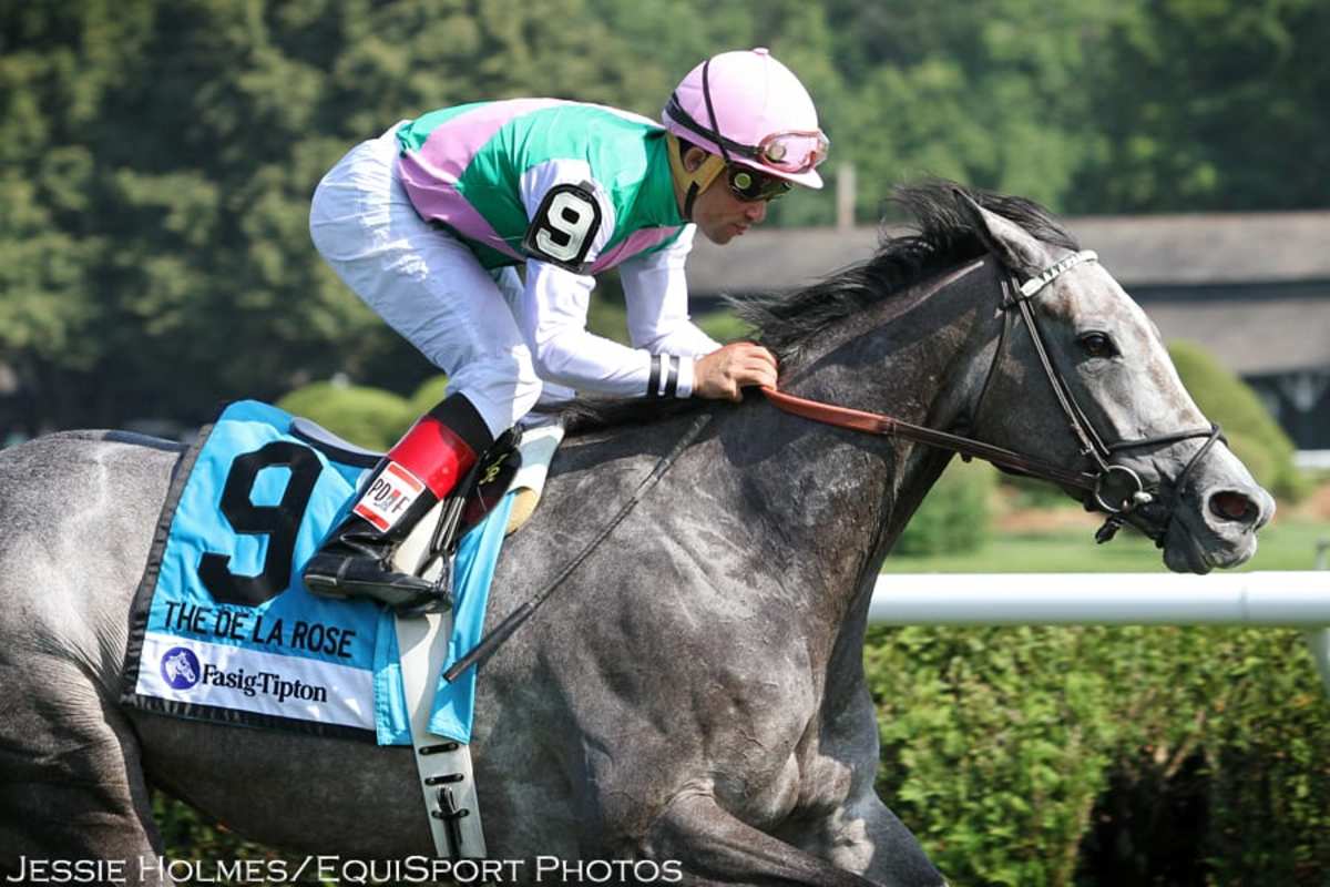 Absorbine presents Photos of the Week: Summer Heat - Paulick Report ...