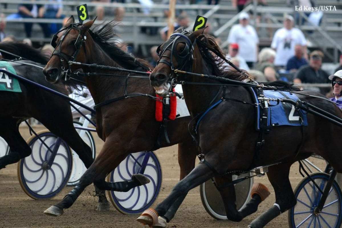 Harness Trainer Found Dosing Horse On Race Day Suspended Through March ...