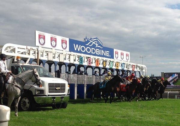 Woodbine Continues To Provide Stabling, Implements Additional ...