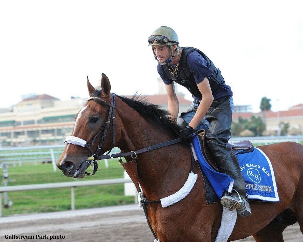 Mucho Macho Man Continues Prep for Sunshine Millions Classic - Paulick ...