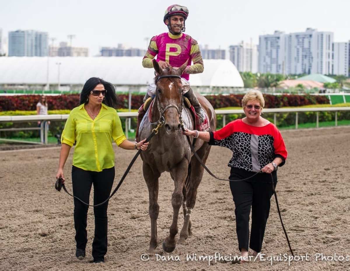 Bloodlines presented by VTA Stallion Season Auction: A Rare Doll ...