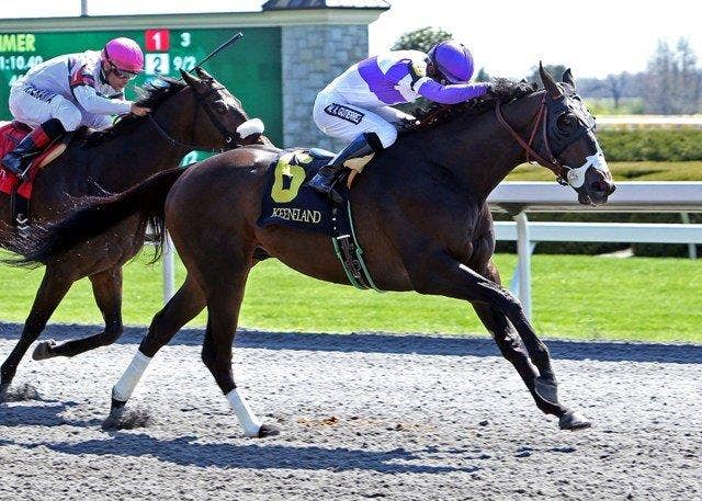 Dirt Mile: Handsome Mike Scratched From Race on Vet Advice - Paulick ...