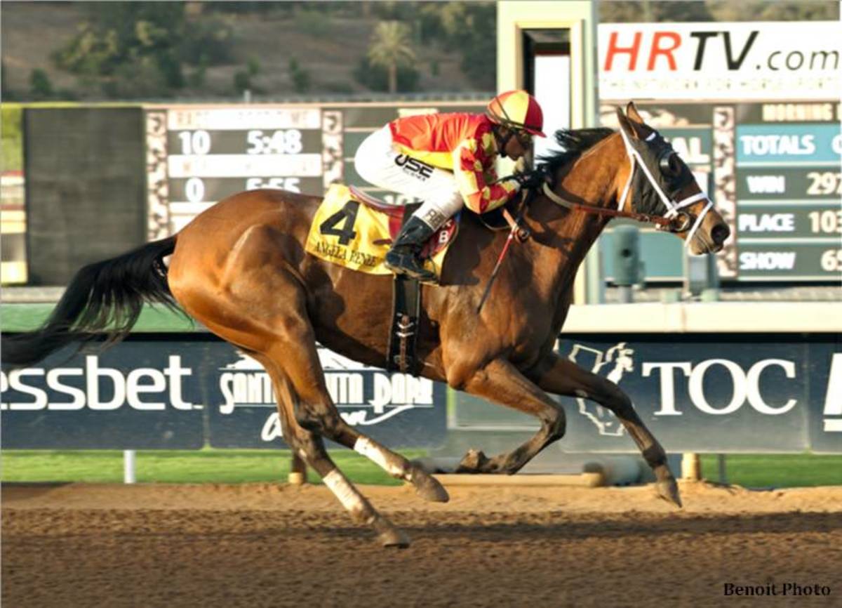 Keeneland presents American Graded Stakes Standings: Angela Renee ...