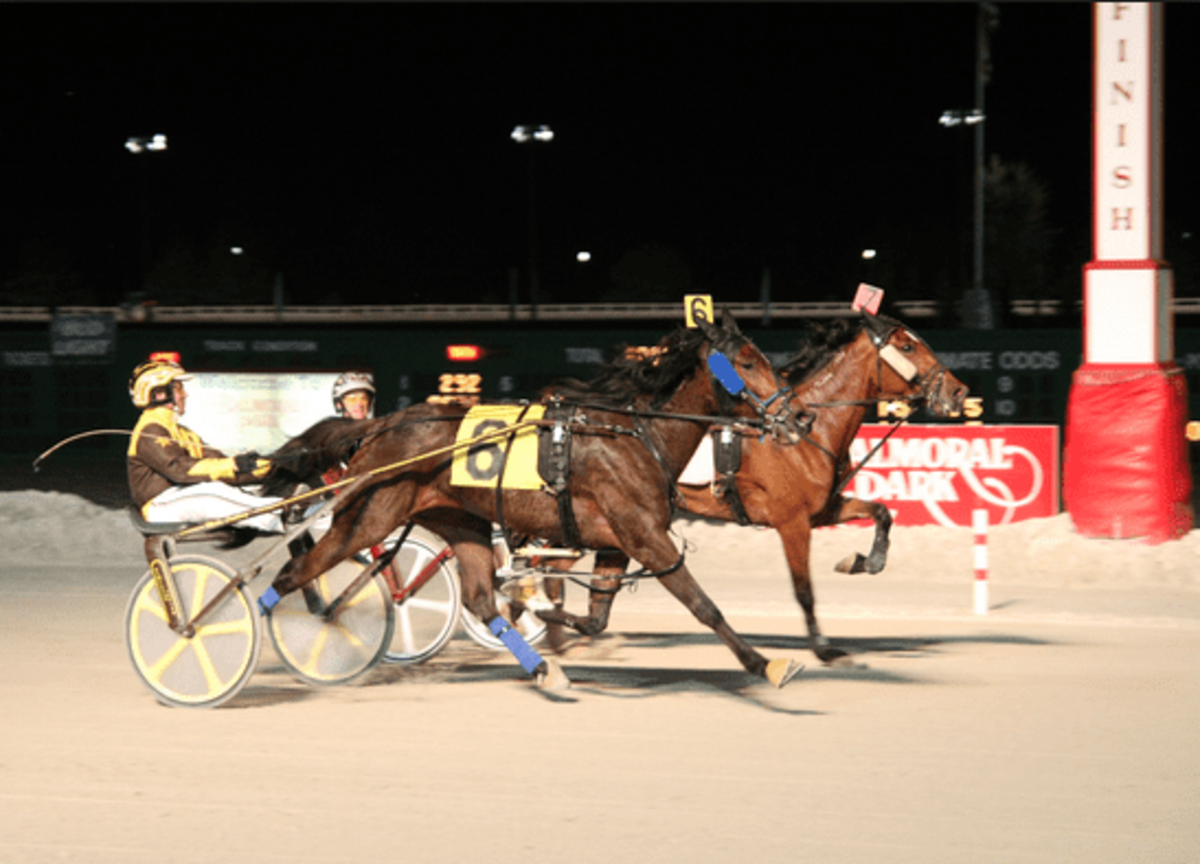 'Shroud Of Mystery' In New Racino Plan For Balmoral Park - Paulick ...