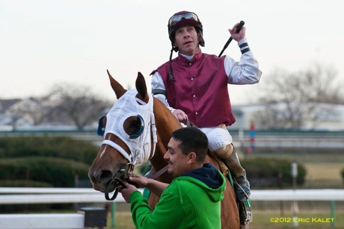 Luzzi Injured in Aqueduct Paddock Accident - Paulick Report | Latest ...