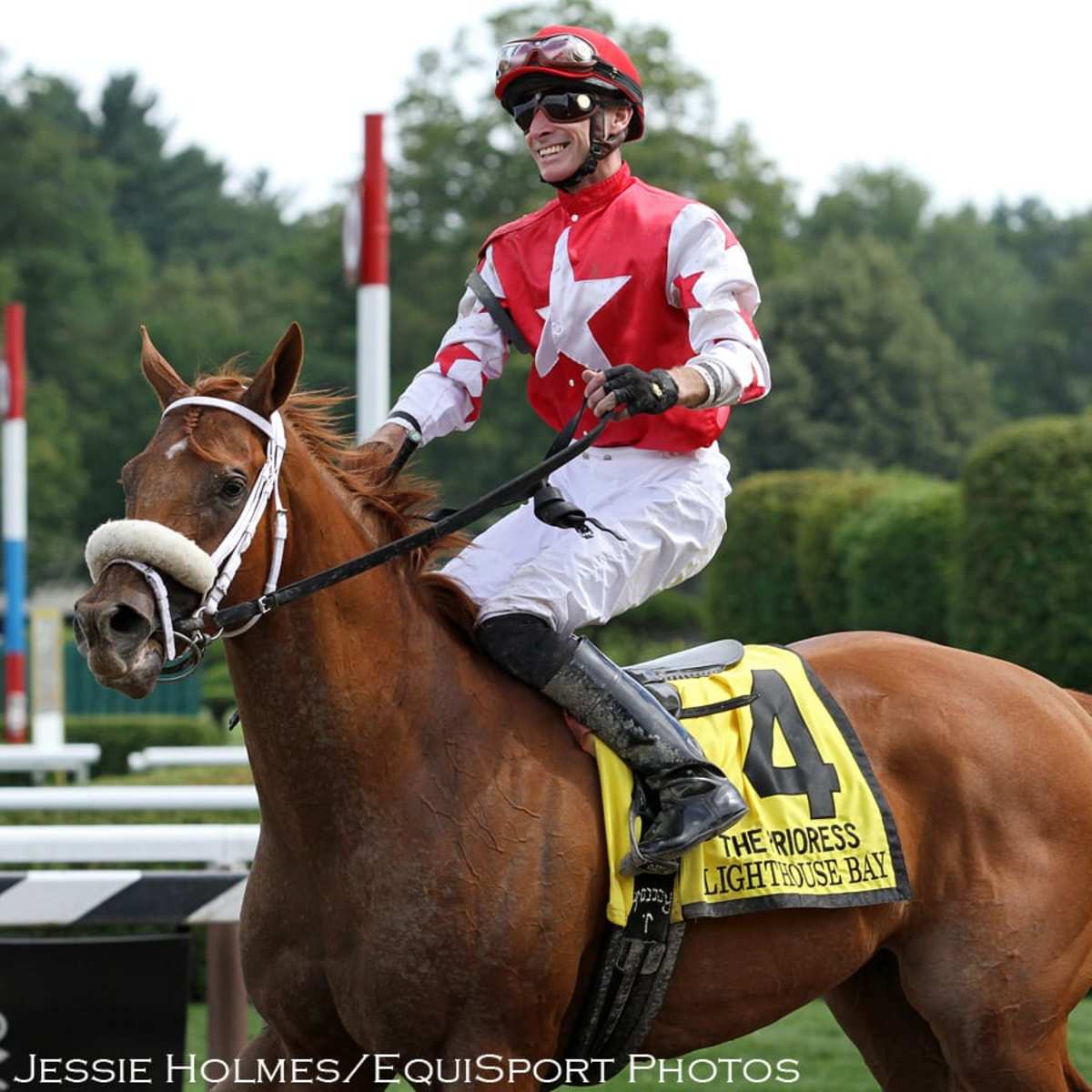 Pletcher: Rocco to Ride Vinceremos - Paulick Report | Latest news and ...
