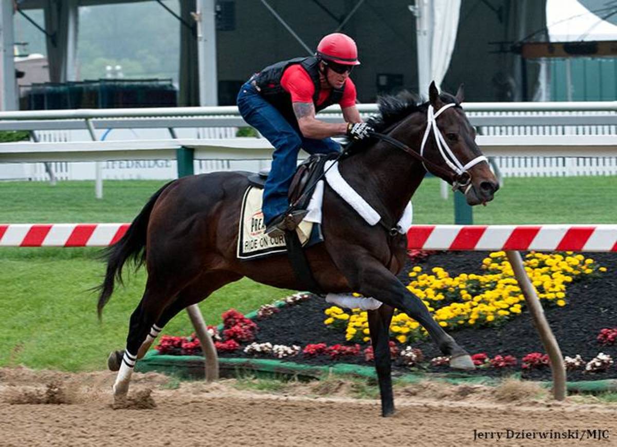 Preakness Notes, May 14: Ride On Curlin Breezes 'Easy Half-Mile ...