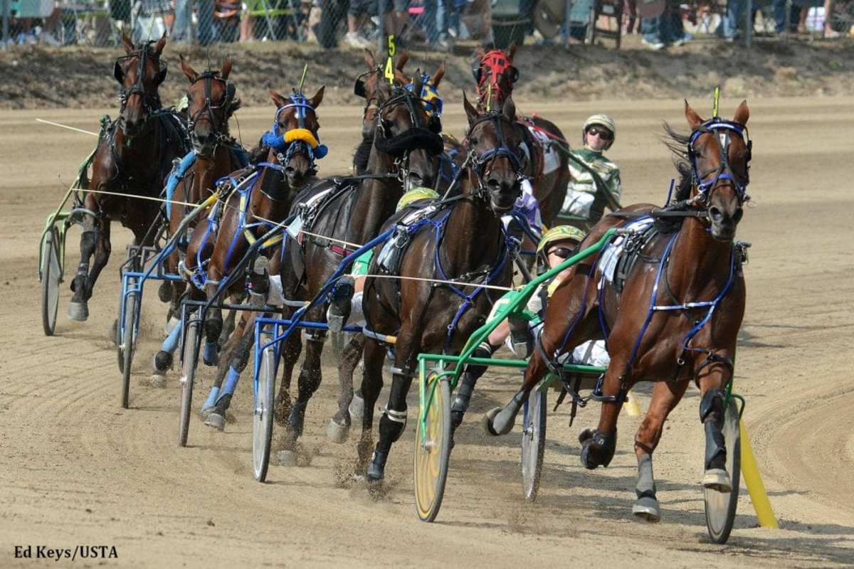 World First: Australia Bans Whips From Harness Racing - Paulick Report ...