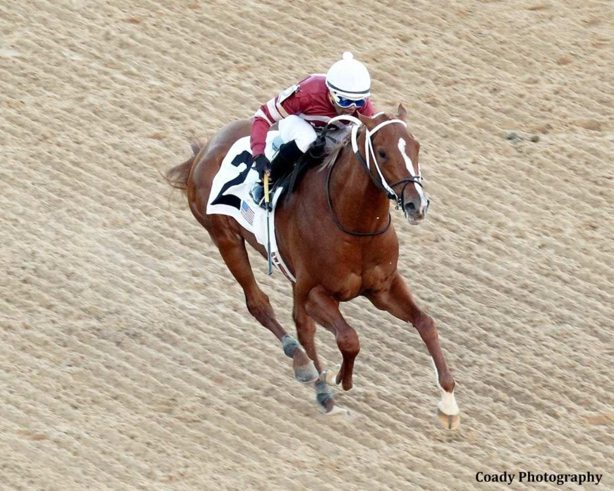 Tapiture Completes Final Derby Work Amidst Deluge - Paulick Report ...
