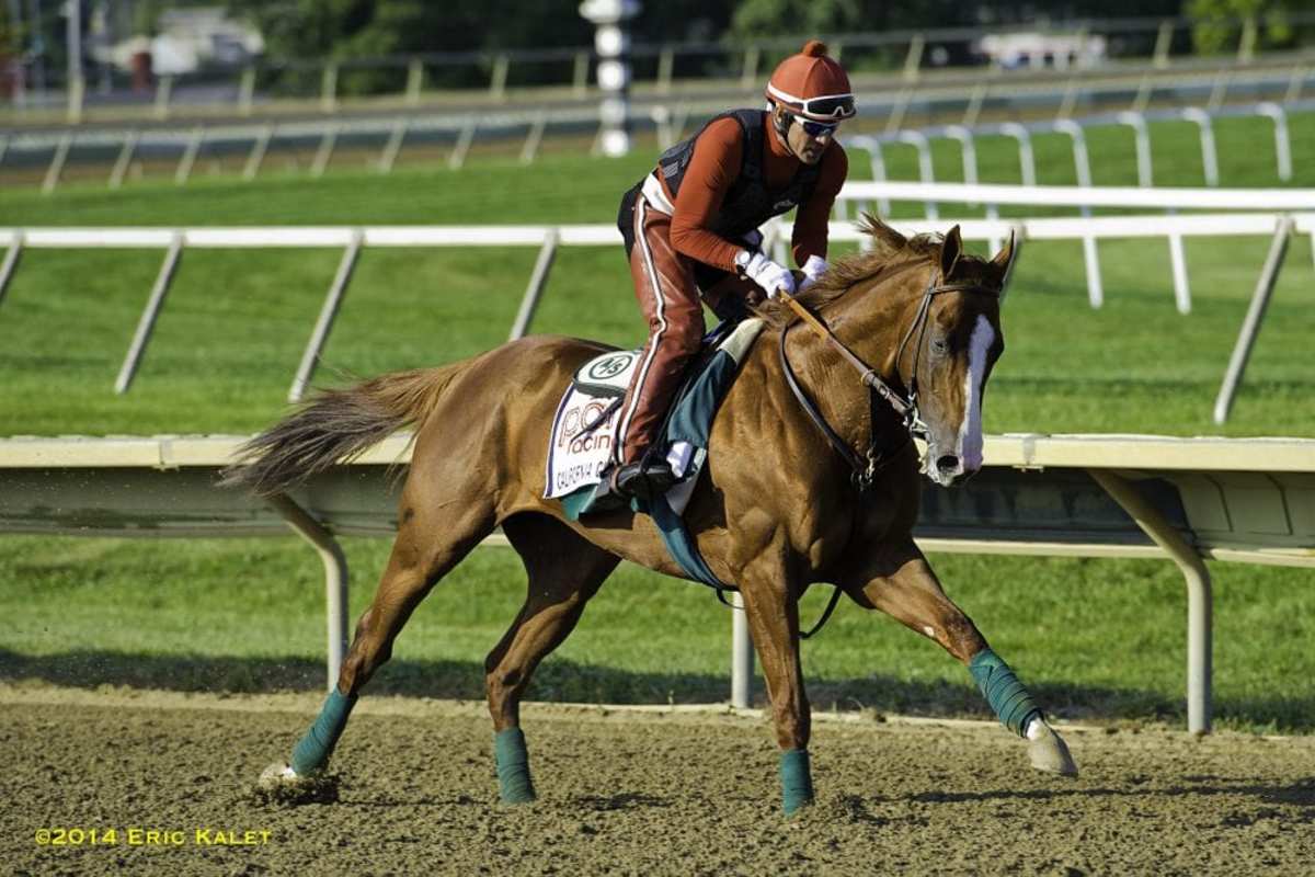 BC Classic Turning Point for California Chrome - Paulick Report ...