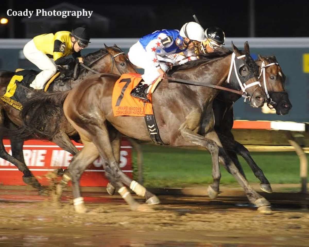 Trainer Brad Cox Looking Ahead After Banner Year - Paulick Report ...