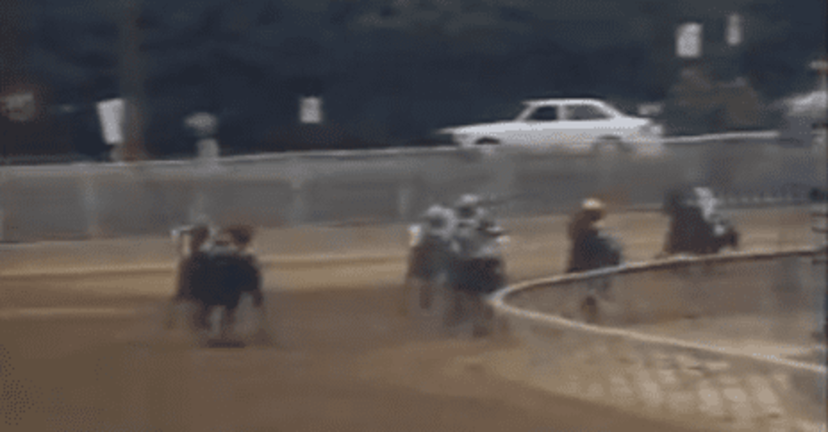 Ten Preakness Moments: Controversy Strikes, 1980 - Paulick Report ...