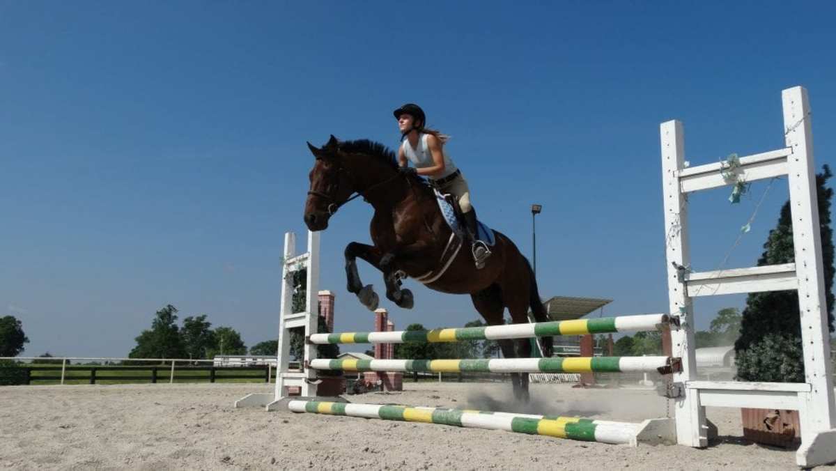 Cosequin presents OTTB Showcase: New Kentucky Home - Paulick Report ...