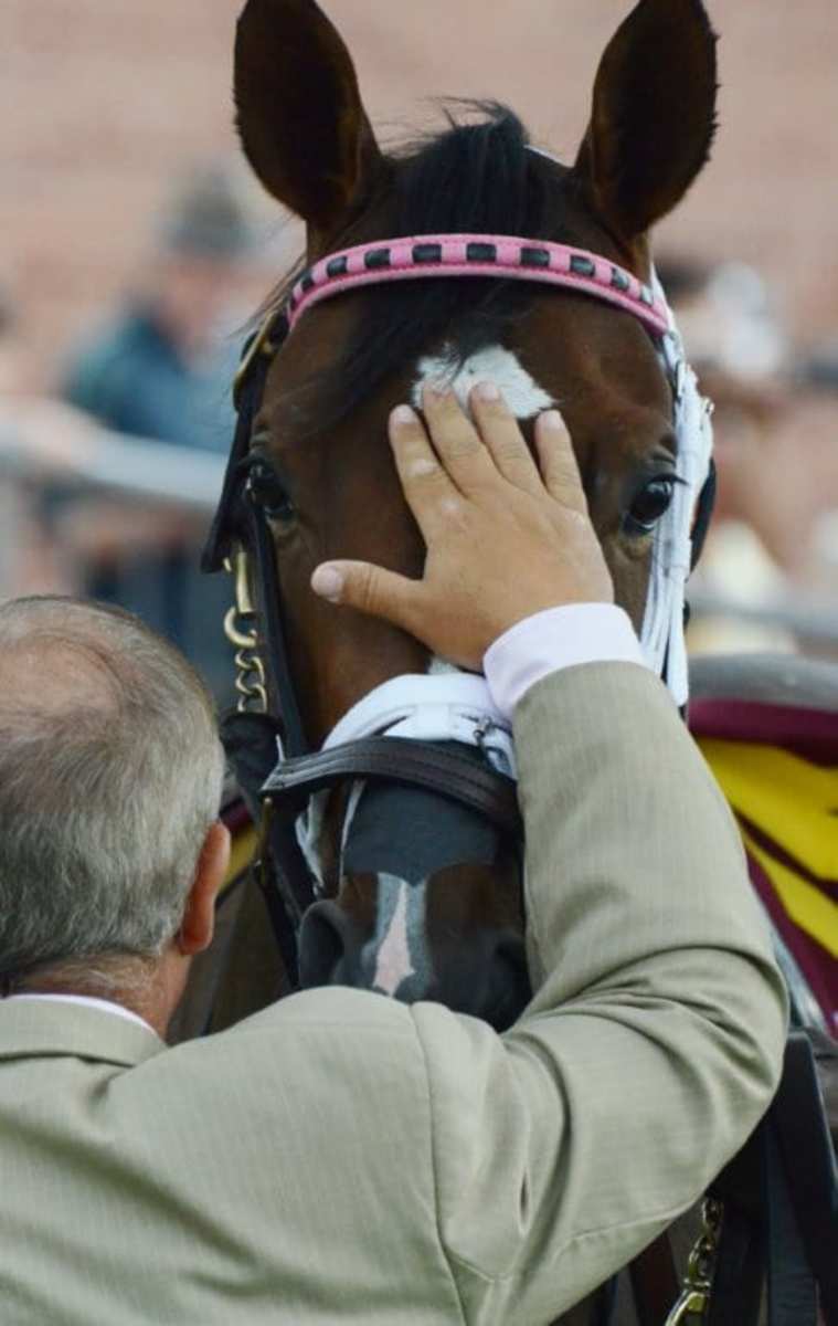 Canadian Champion Lexie Lou Returns From Layoff Wednesday - Paulick ...