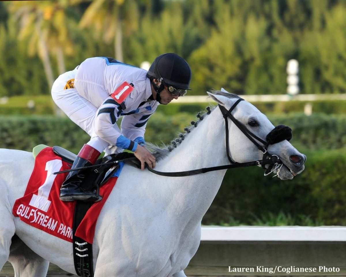 Positive Prognosis for Talented Mr. Jordan After Surgery - Paulick ...