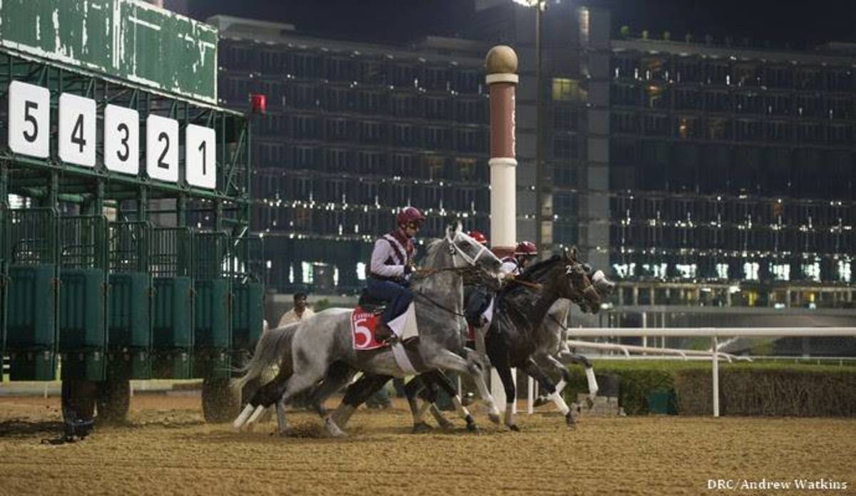 Meydan's New Dirt Surface Given Thumbs Up Following Successful ...