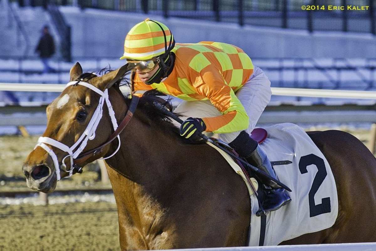 Fierce Boots Goes Wire to Wire for Busanda Upset - Paulick Report ...