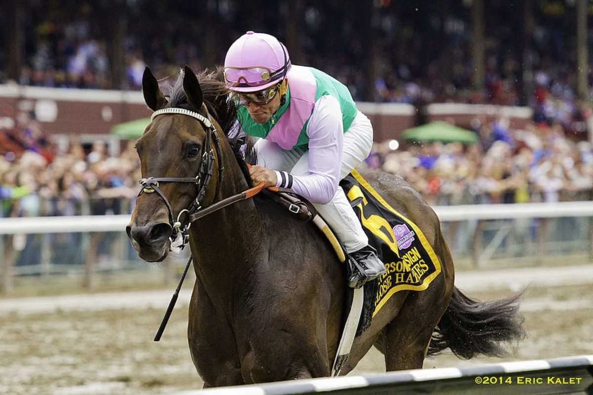 Champion Close Hatches' First Foal Breaks His Maiden At Aqueduct ...