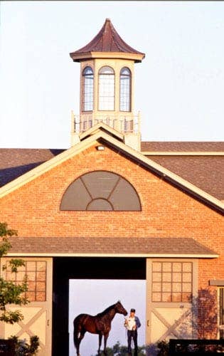 Silver City Carries Valor Farm Into Shiny New Era - Paulick Report ...