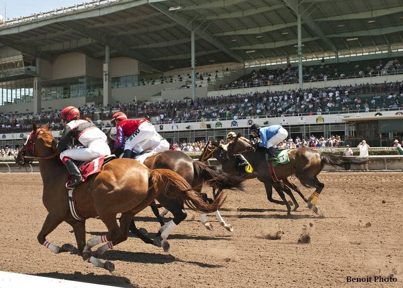 Los Alamitos To Increase Safety Measures After Three Quarter Horses ...