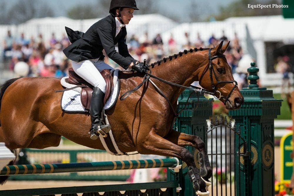 Absorbine presents Photos of the Week: OTTB's of the Rolex 3-Day Event ...