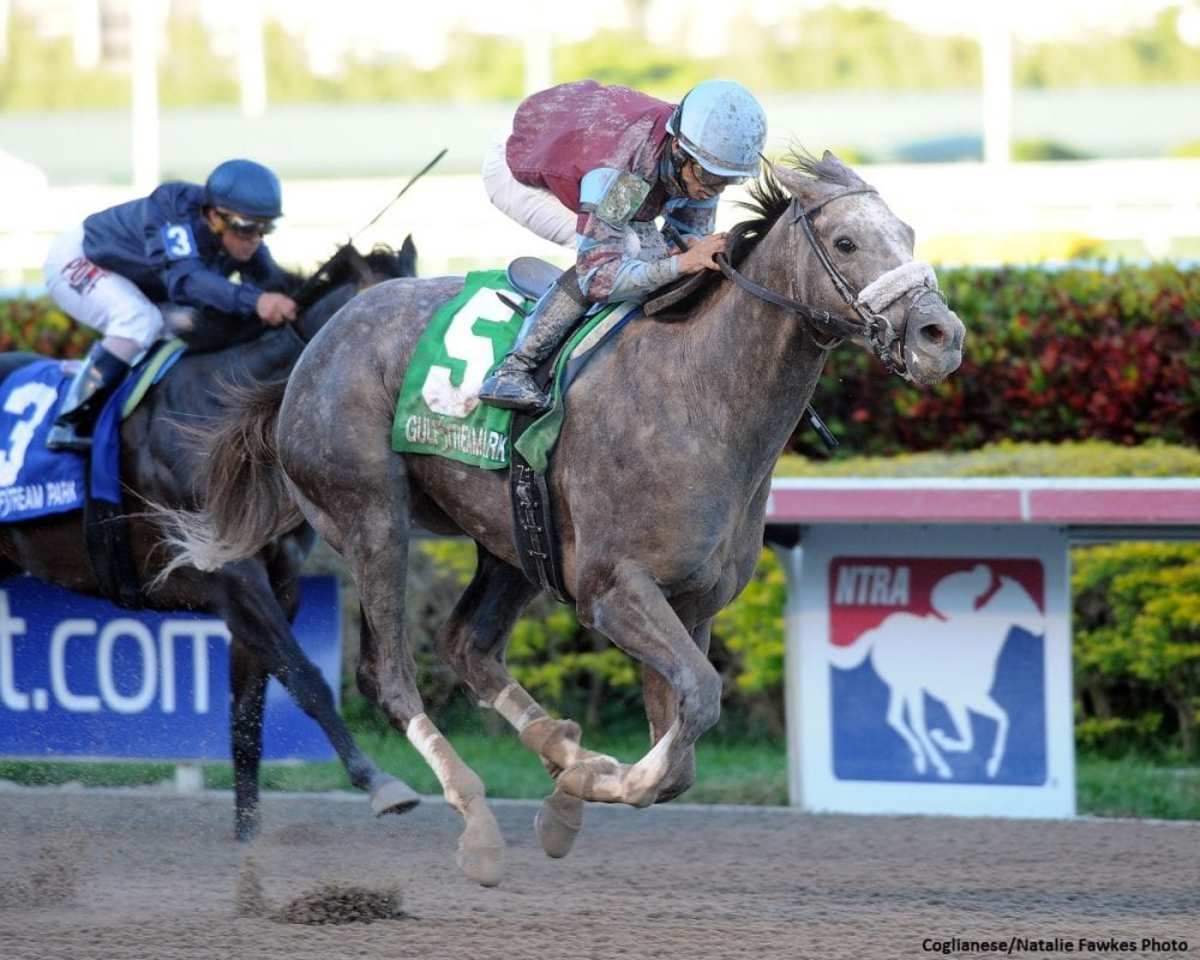 Spot Gets Past No Nay Never to Upset Swale - Paulick Report | Latest ...