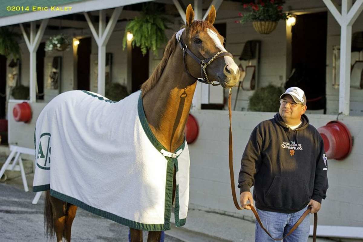 Alan Sherman To Accompany California Chrome On Flight To Japan ...
