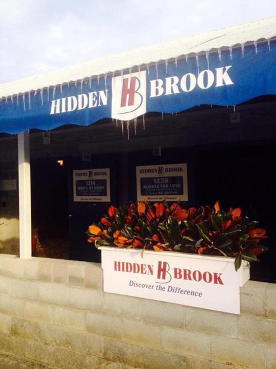 Brothers Taking On Increased Role At Hidden Brook Farm - Paulick Report ...