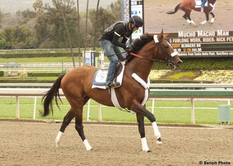 Mucho Macho Man Sneaks in Five Furlong Workout Between Races at Santa ...