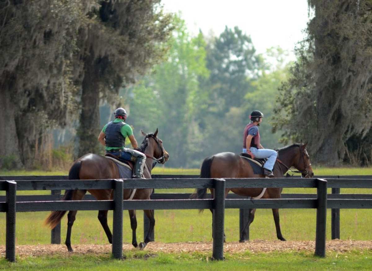 Do-Si-Do: Florida Decoupling Stalls In Senate, Advances In House ...