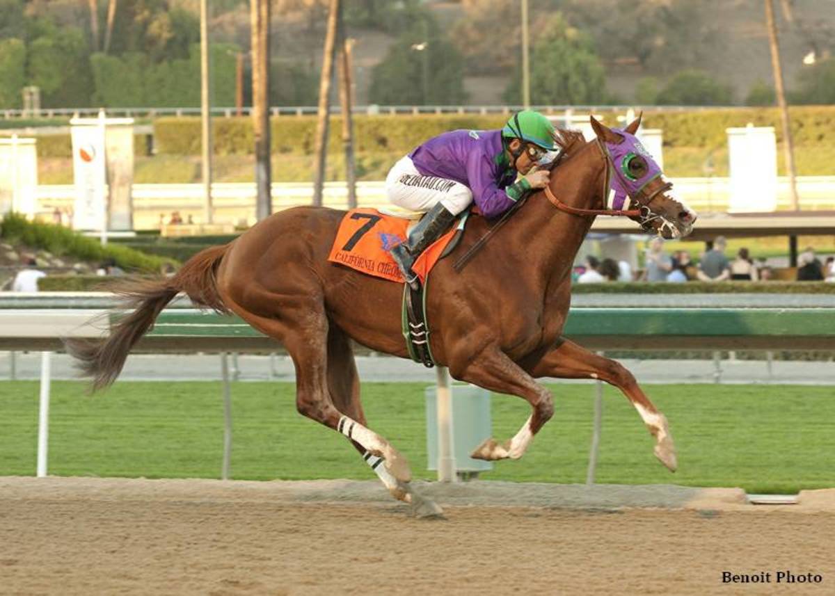California Chrome Faces Acid Test in G2 San Felipe - Paulick Report ...