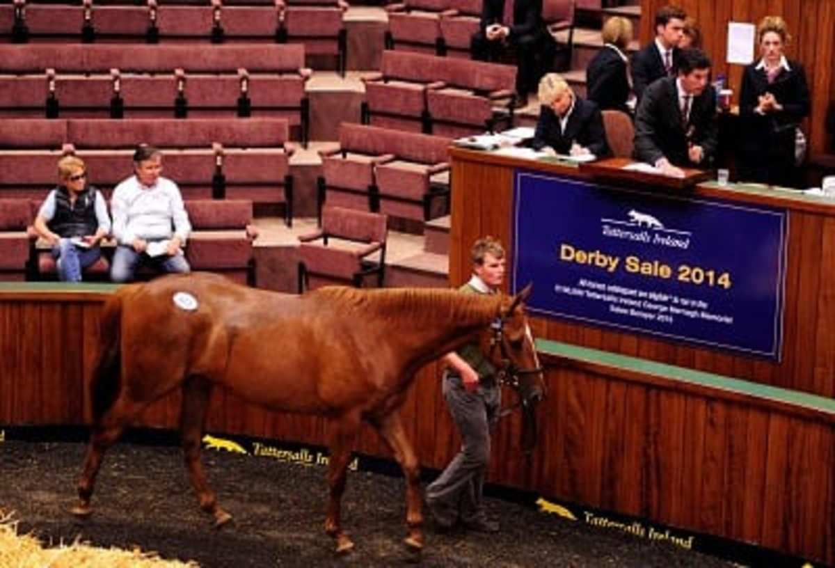 British, Irish Bloodstock Markets Introduce New Industry Code Of ...
