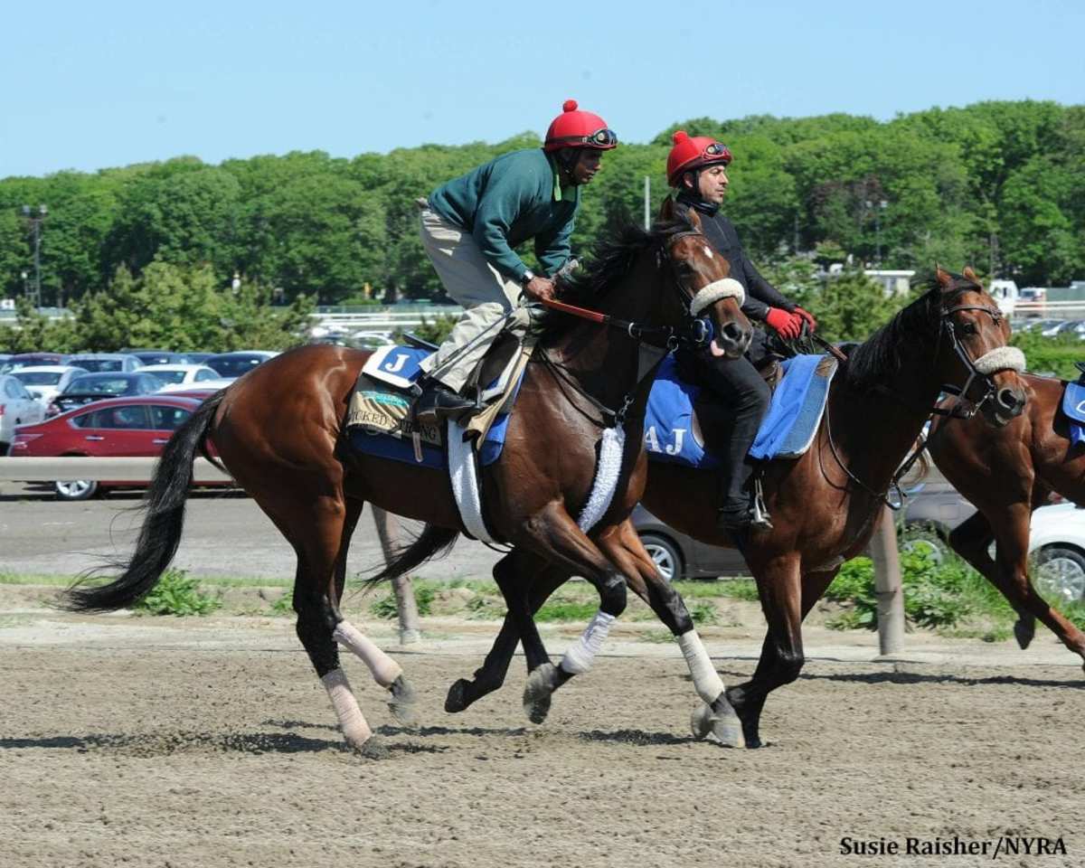 ‘Wicked’ Going Strong in Preparation for Belmont - Paulick Report ...