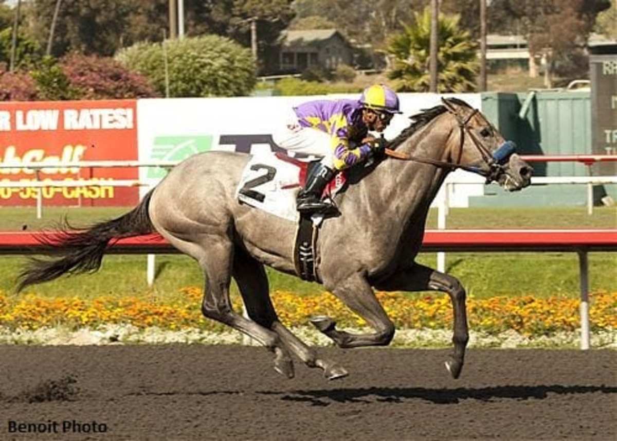 Kobe's Back Seeks to Turn His Luck Around in San Vicente - Paulick ...