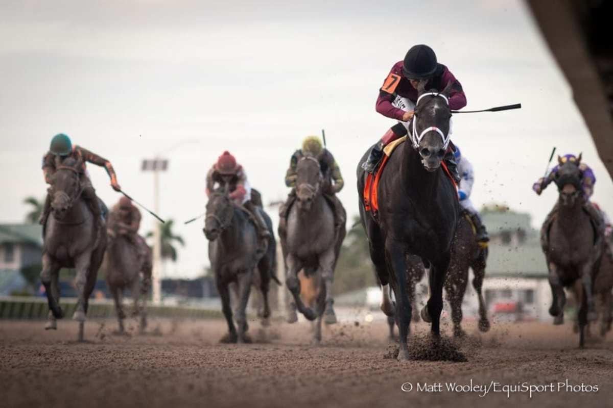 McLaughlin: Cairo Prince Came Back 'Perfect', Looks to Fountain of ...