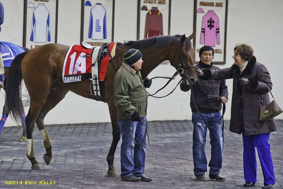 Bloodlines: Gotham Winner of 'Noble' Birth - Paulick Report | Latest ...